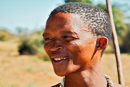 カポイド（コイサン）は同じホモ・サピエンスでない〜Y染色体ハプログループAと種族〜